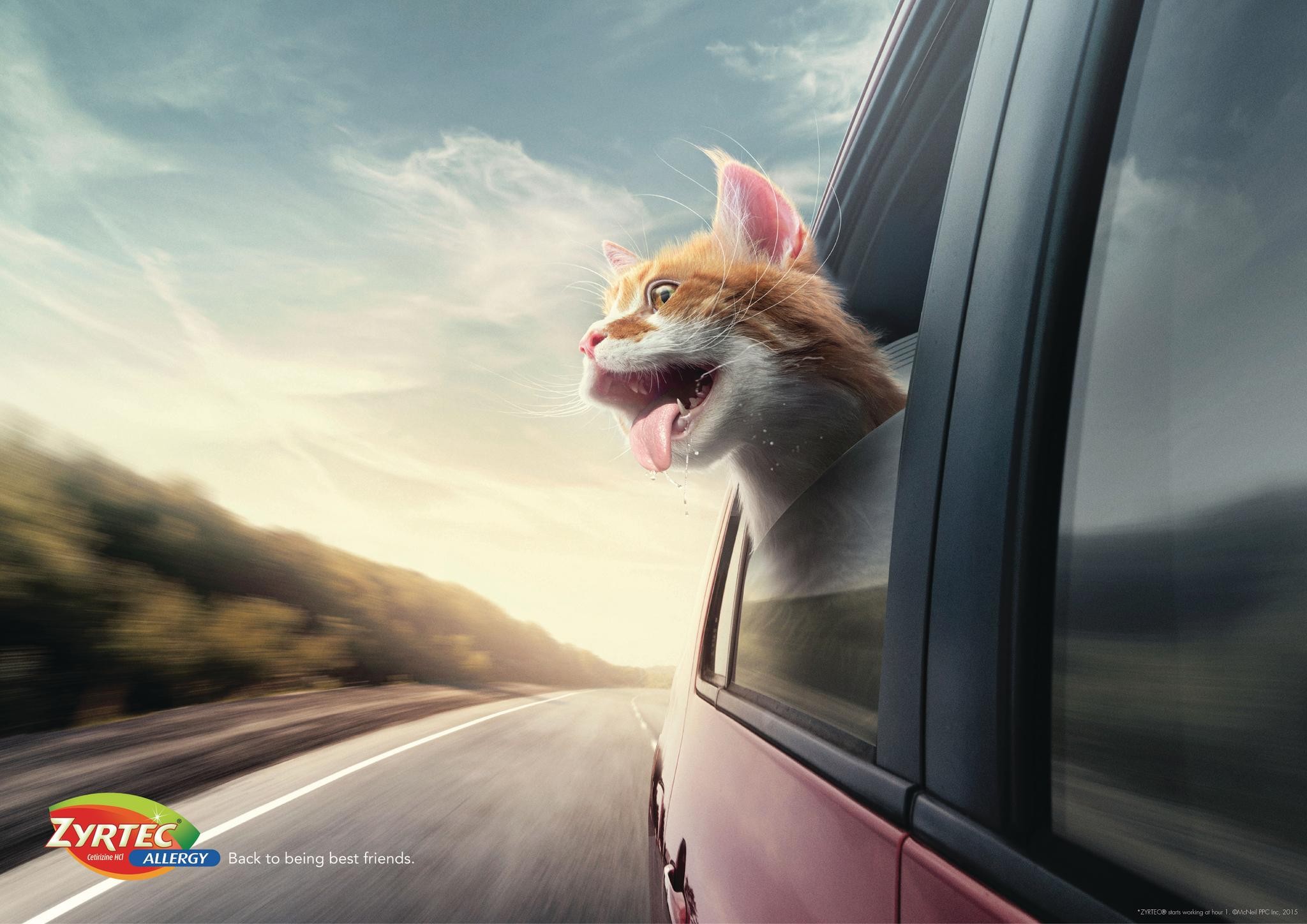 ZYRTEC | Campaign | THE WORK