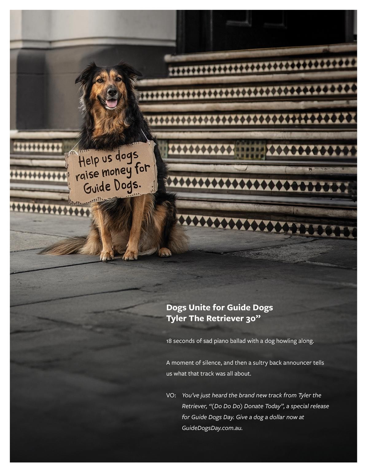 Guide dogs – Dogs Unite For Guide Dogs | Campaign | THE WORK