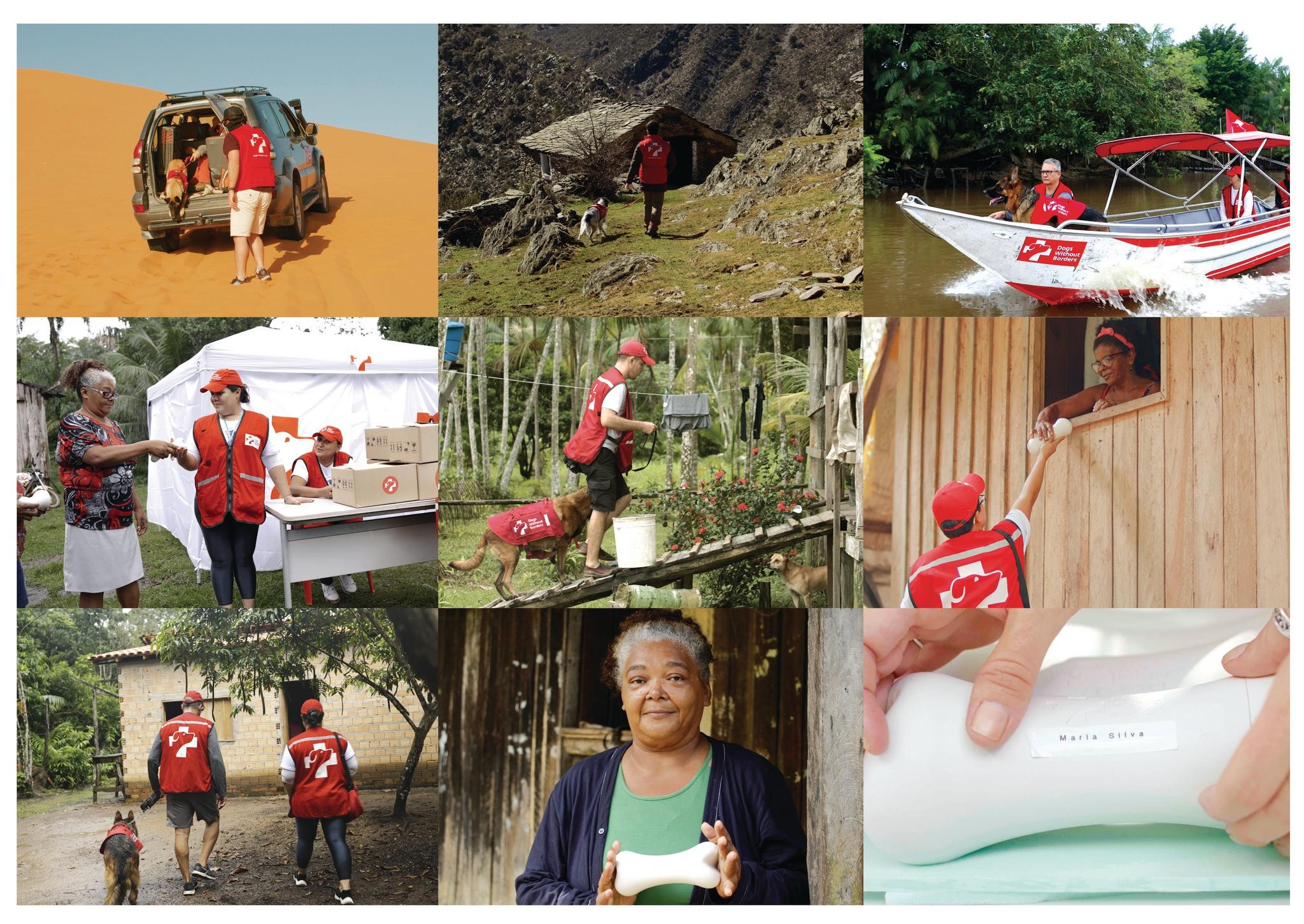 Dogs Without Borders | Campaign | THE WORK