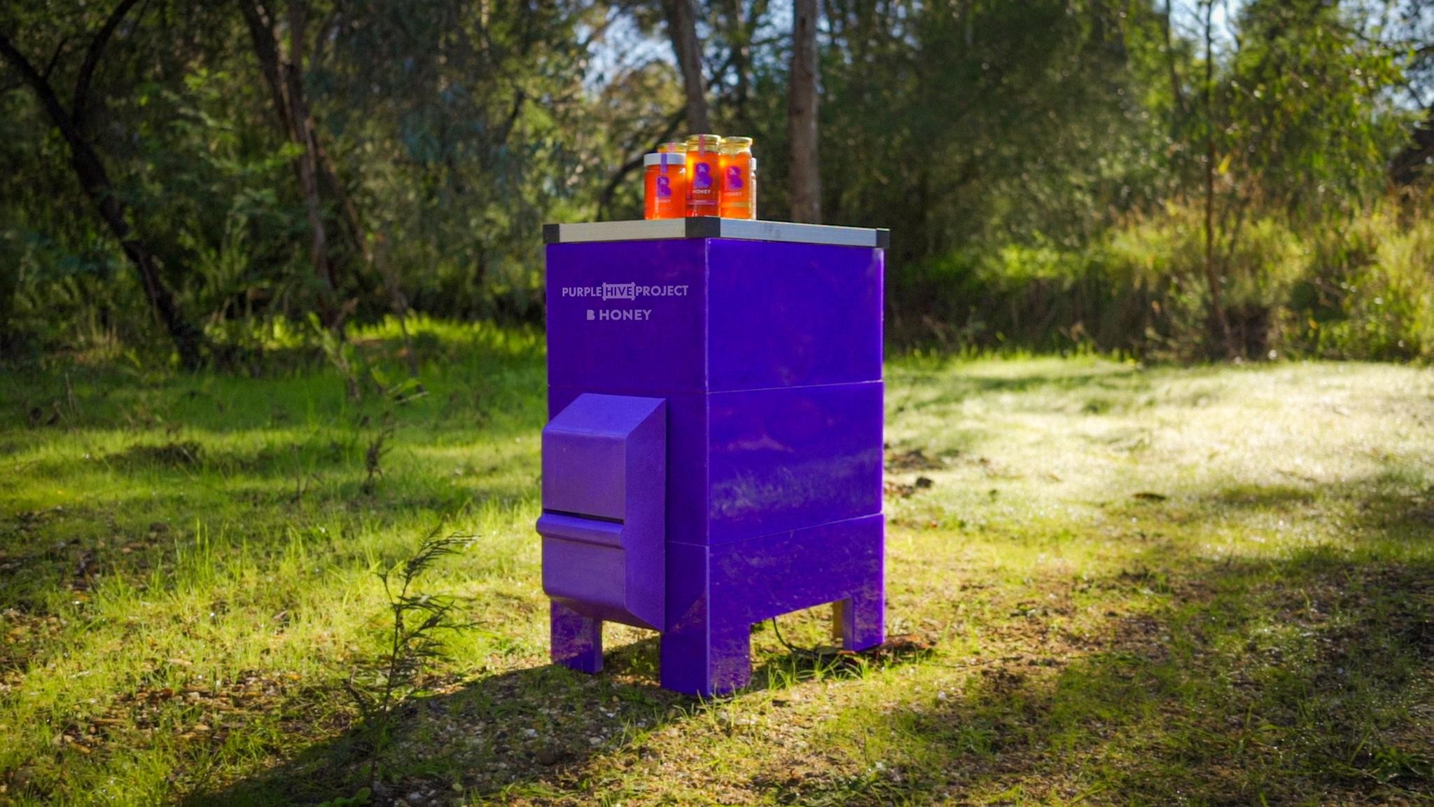 The Purple Hive Project | Campaign | THE WORK