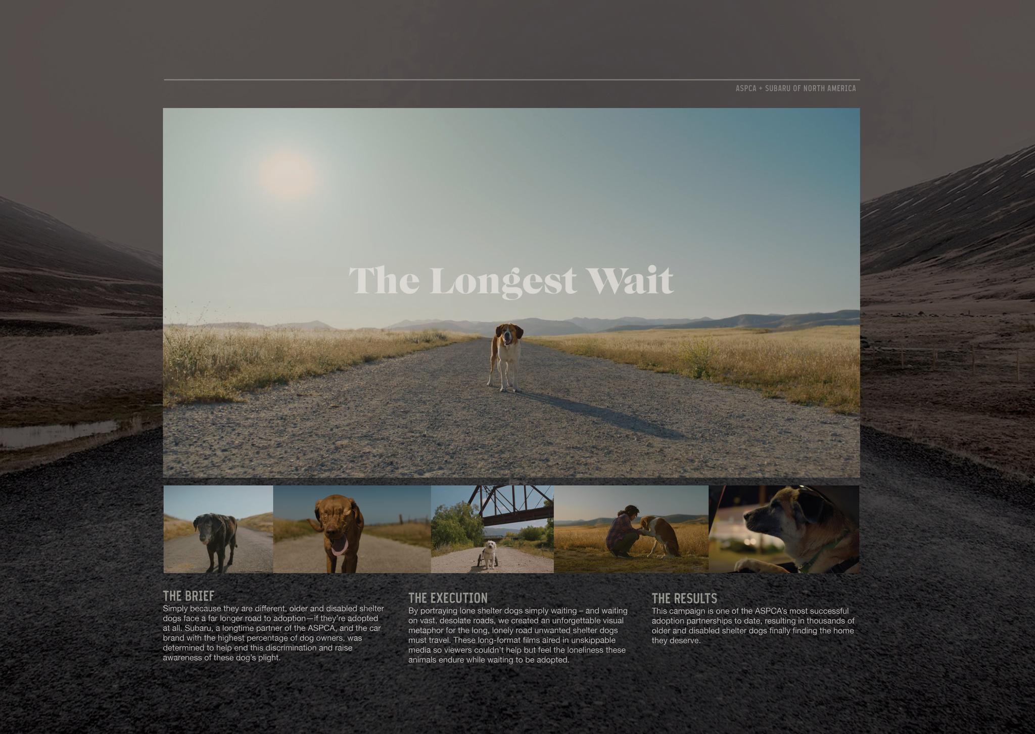 The Longest Wait | Campaign | THE WORK
