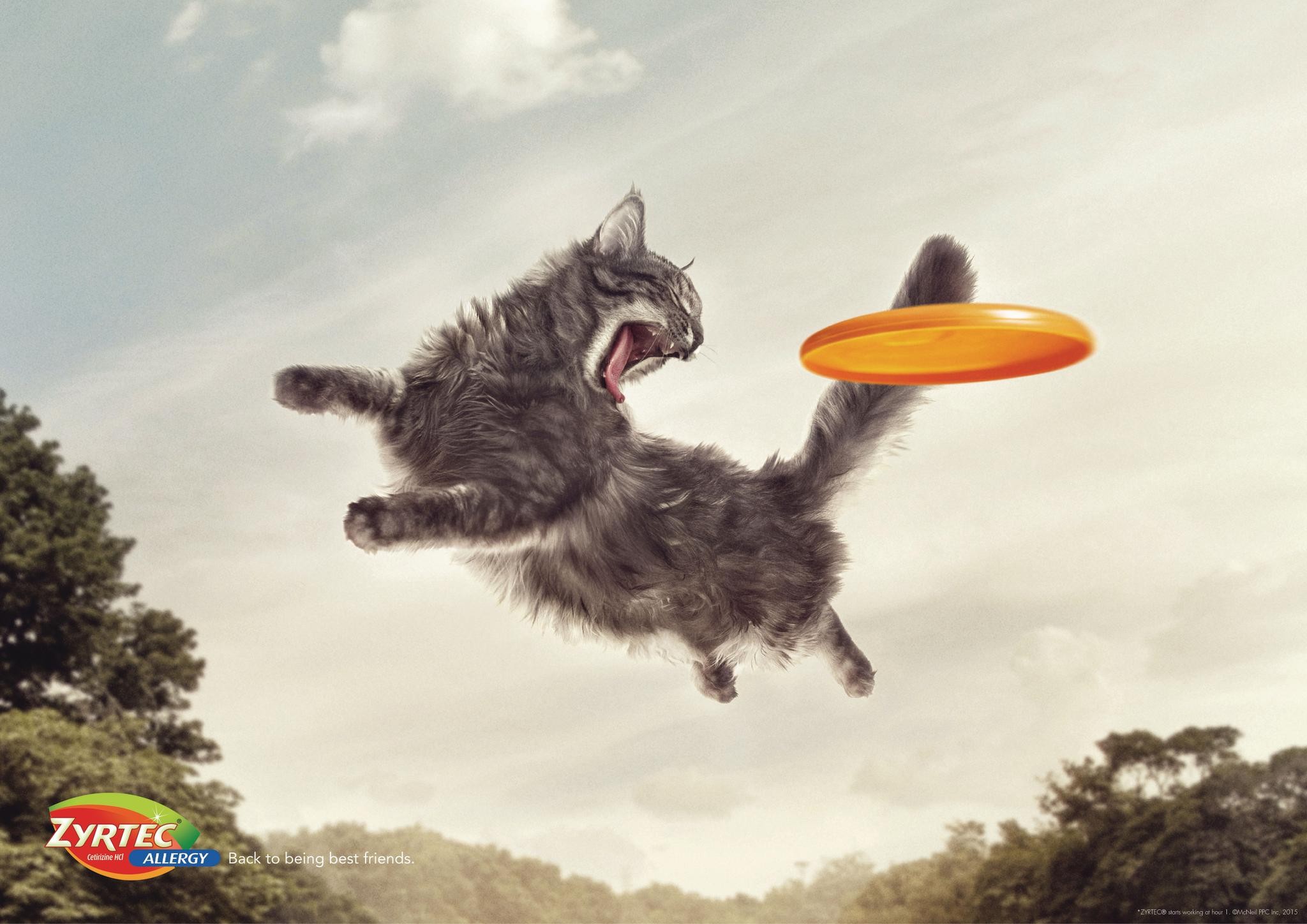 ZYRTEC | Campaign | THE WORK