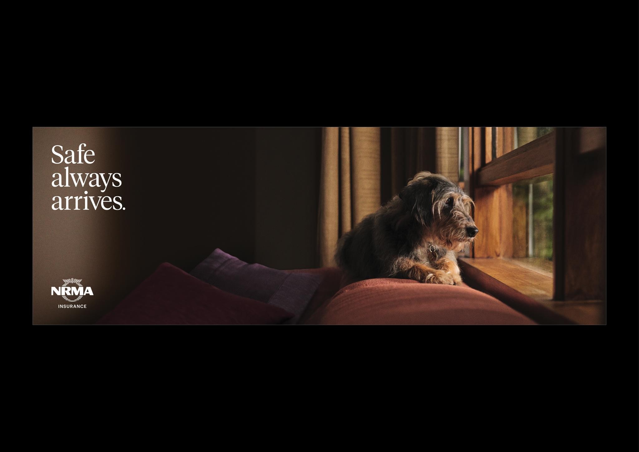 Safe always arrives | Campaign