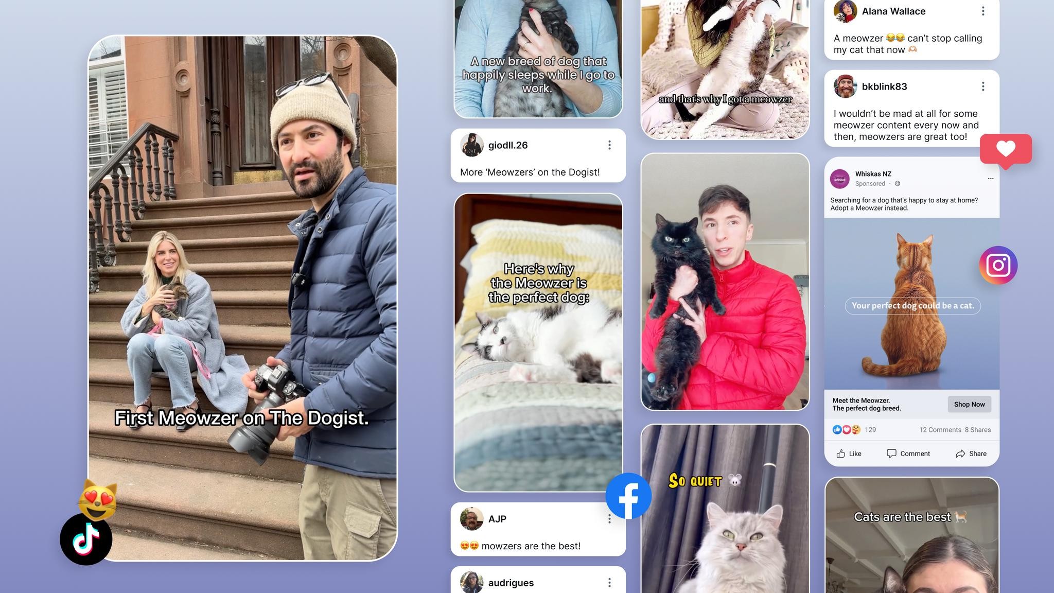 Meowzer | Campaign | THE WORK