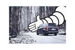 The Safe Embrace Print Campaign | Campaign | THE WORK