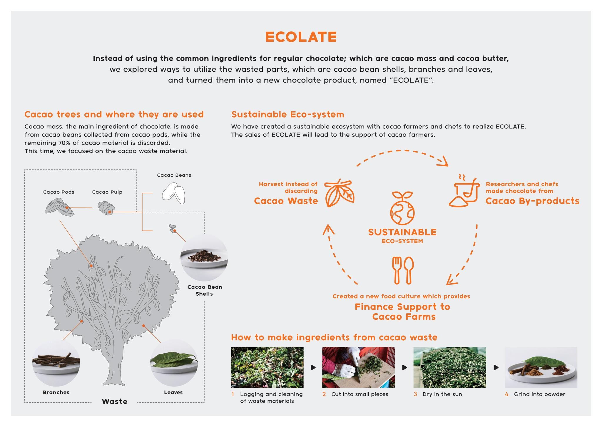 ECOLATE | Entry | THE WORK