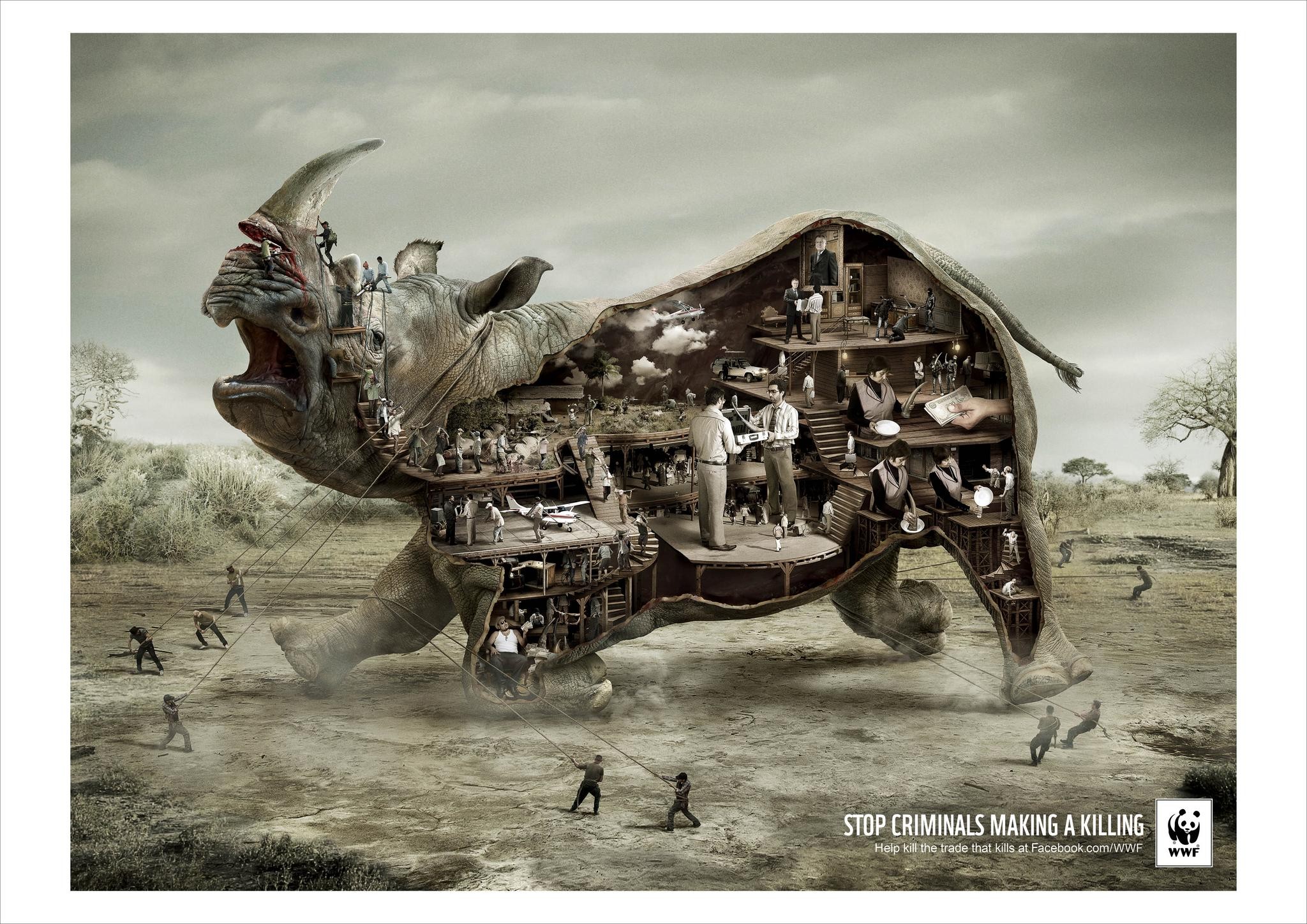WWF | Campaign | THE WORK