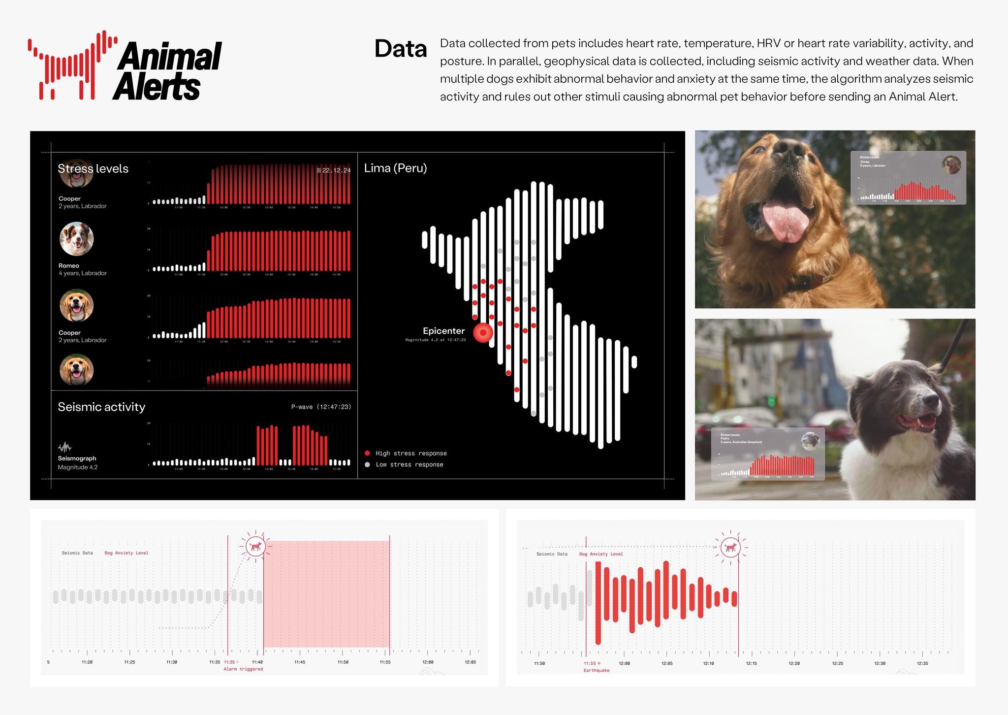 Animal Alerts | Campaign | THE WORK