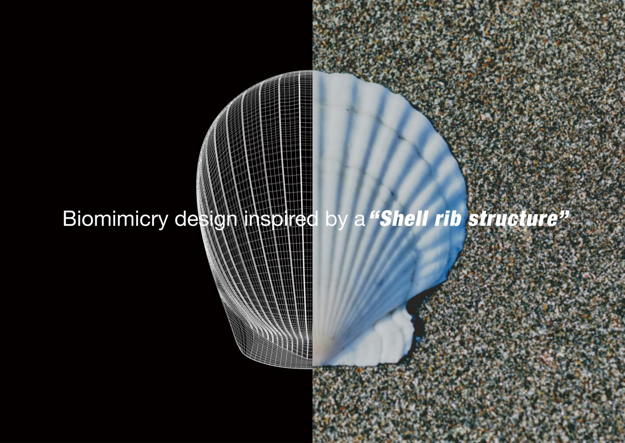 SHELLMET | Entry | THE WORK