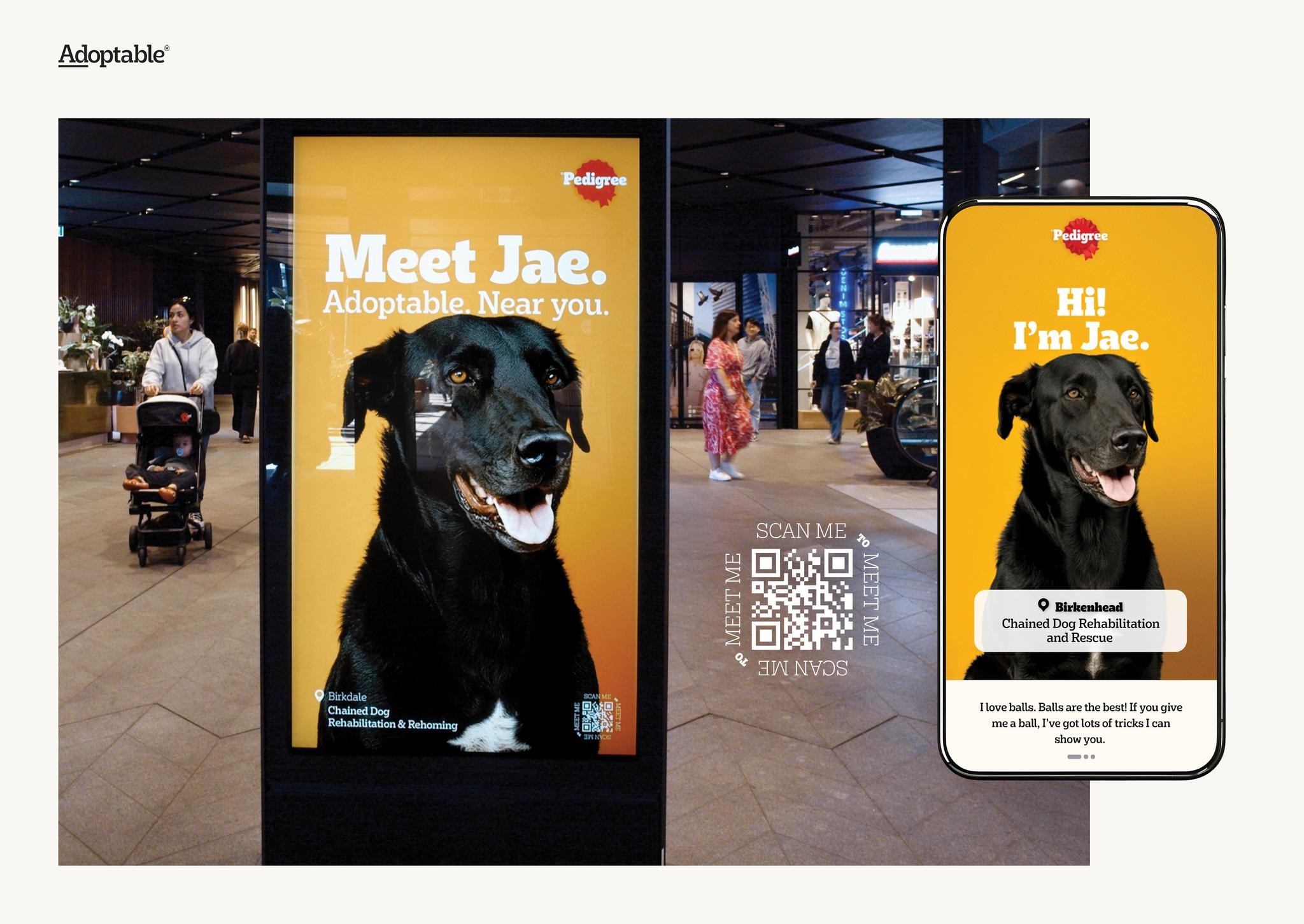 Adoptable. By Pedigree | Campaign | THE WORK