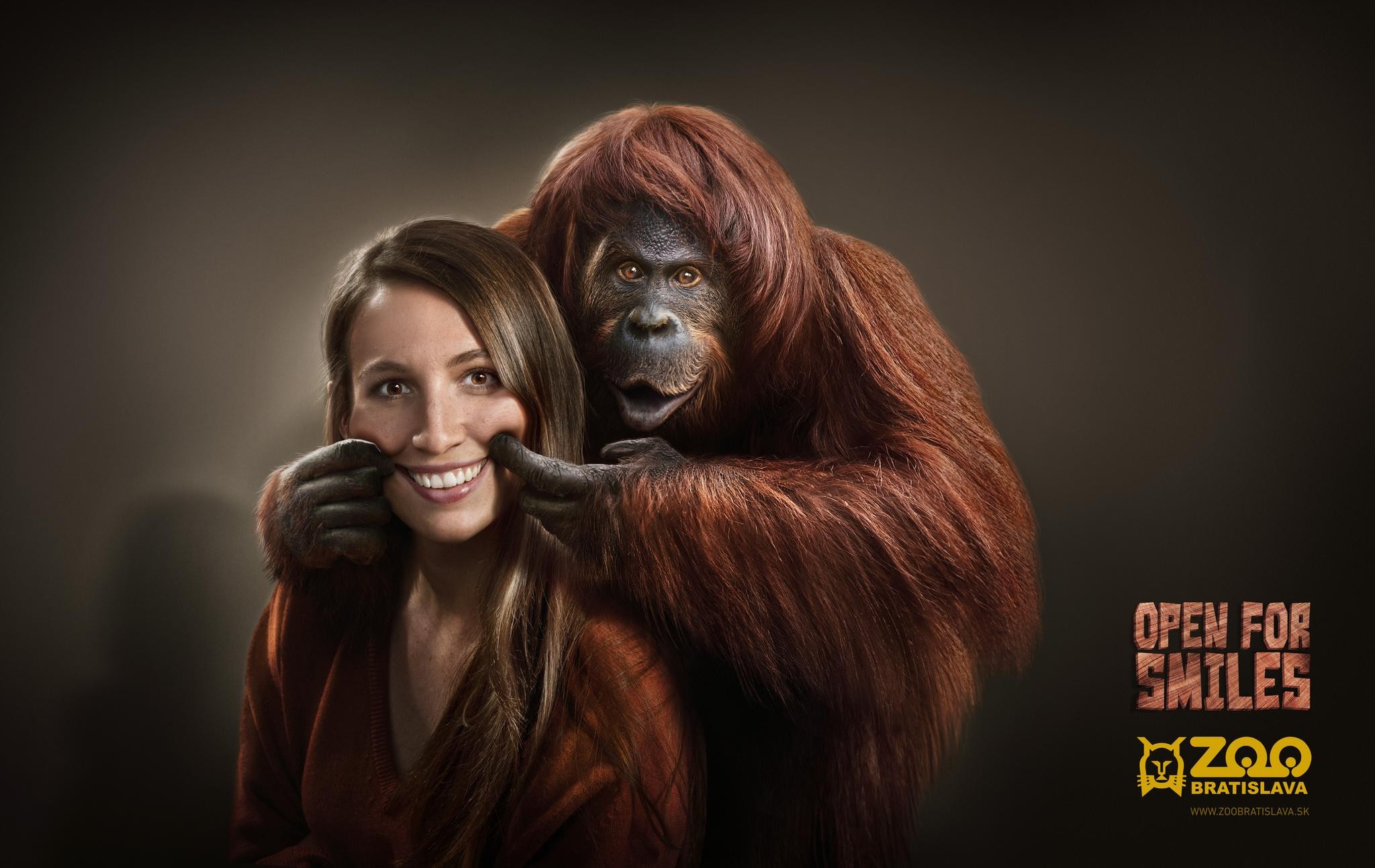 ZOO | Campaign | THE WORK