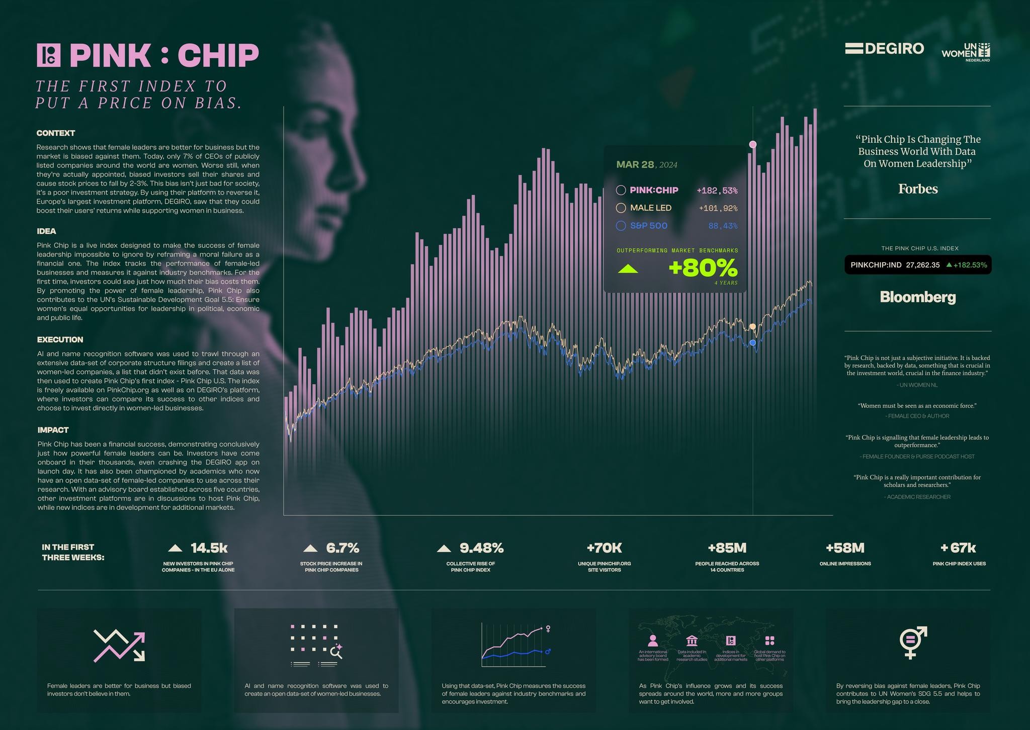 PINK CHIP | Entry | THE WORK