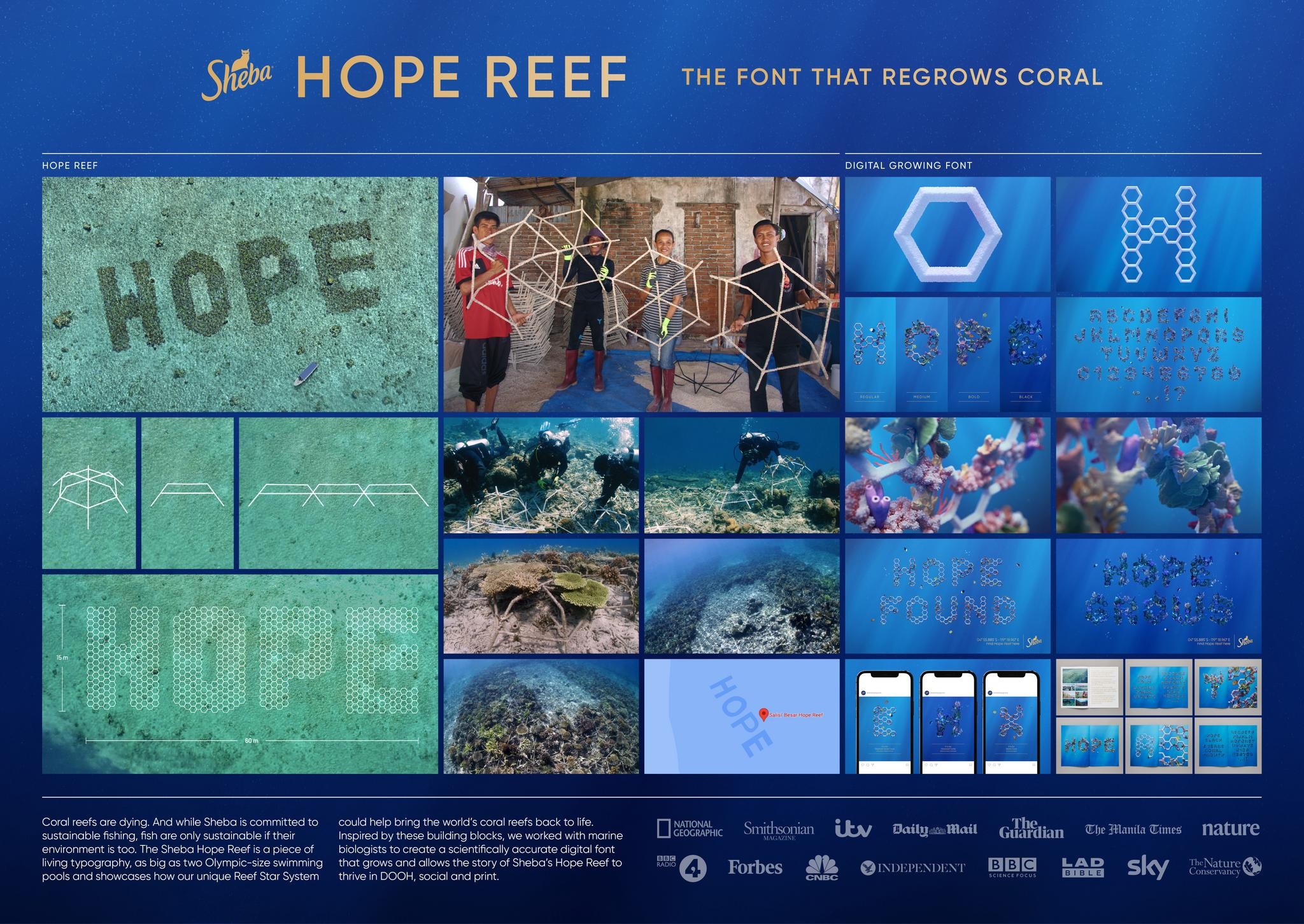 Hope Reef | Campaign | THE WORK