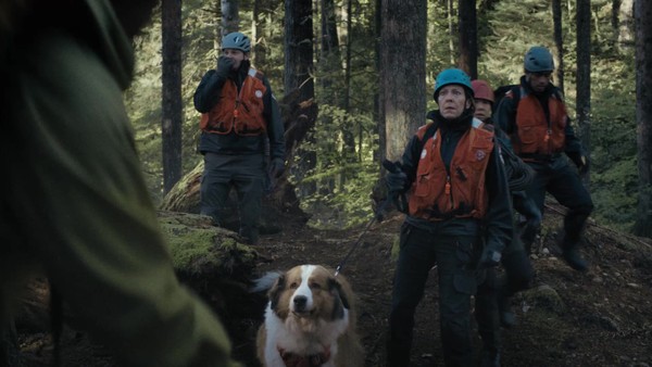 Busch Guide by Busch Guy | Campaign | THE WORK