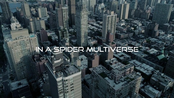 Spider Multiverse | Campaign | THE WORK