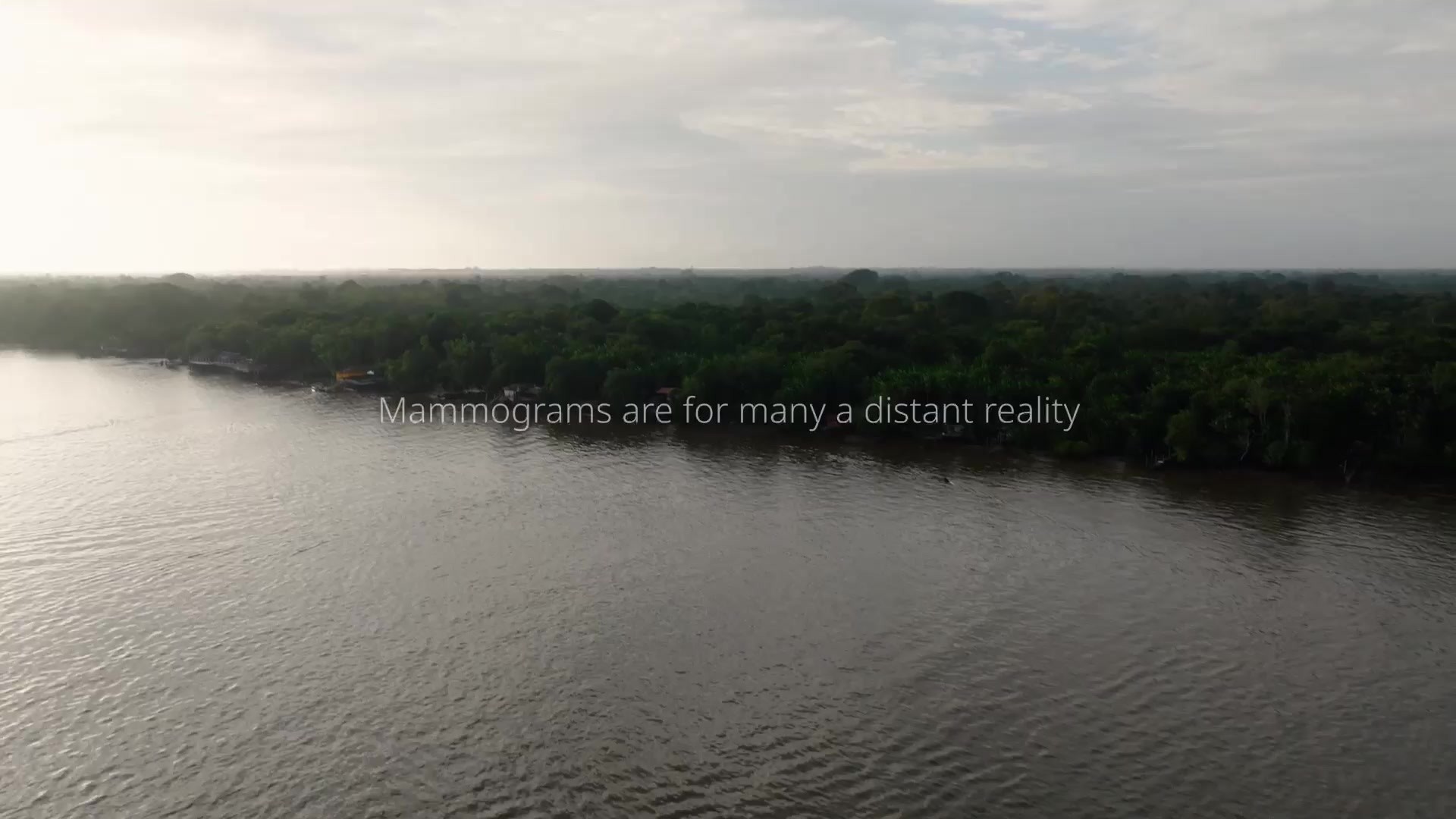 DOGS WITHOUT BORDERS | Campaign | THE WORK