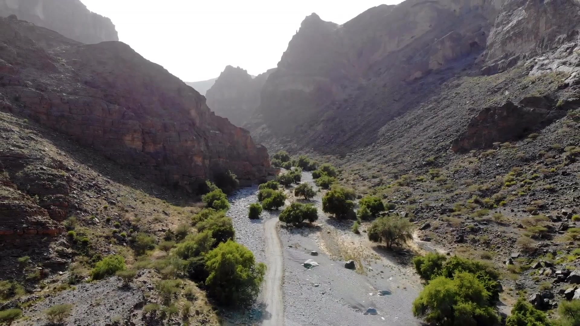 WhatsApp Oman | Campaign | THE WORK